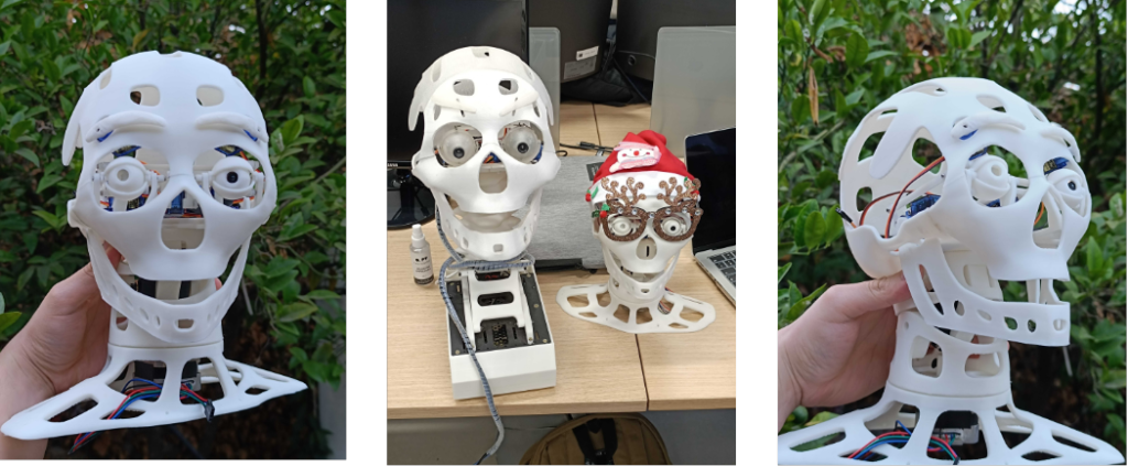 ¿Quién es Fiona? La robot que comenzó como un proyecto universitario y ...